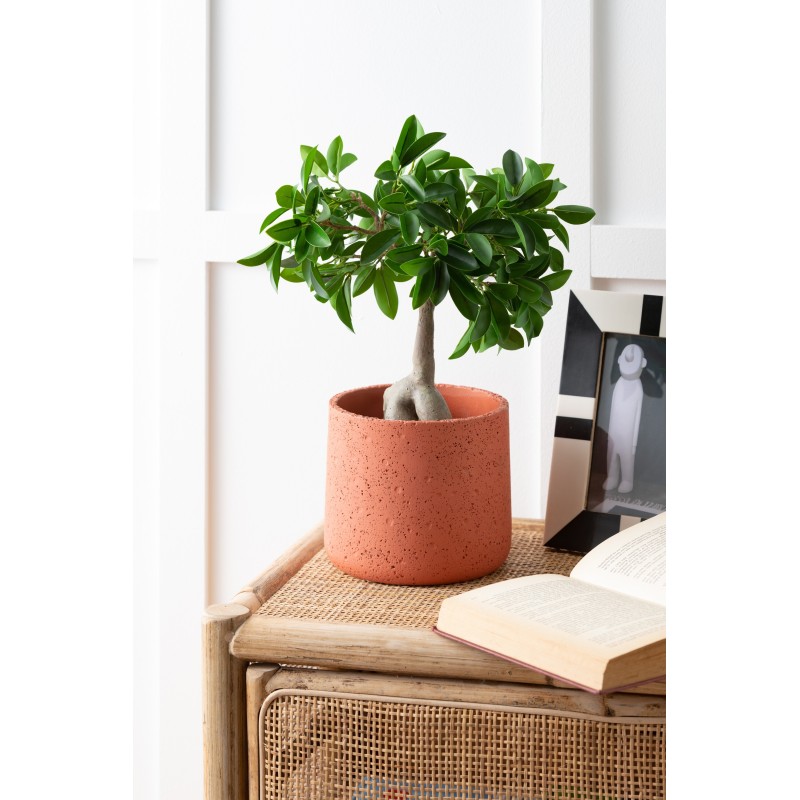 Cache-pot en céramique orange 19x19x17 cm